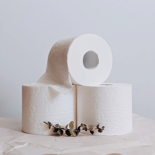 Toilet Tissue Toilet Tissue Products Toilet Tissue Manufacturers Toilet Tissue Suppliers And toilet-tissue-toilet-tissue-products-toilet-tissue-manufacturers-toilet-tissue-suppliers-and